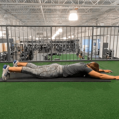 Core Matters: Rediscovering the Foundation of a Healthy Back